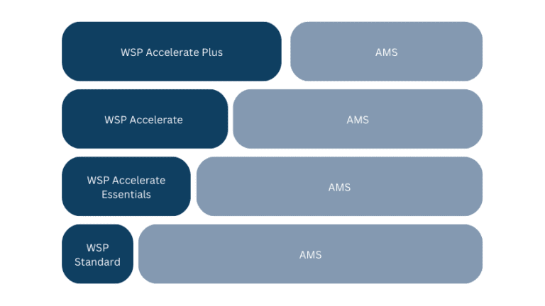 Workday Success Plans: How AMS Services Can Amplify Your Success - Teamup9